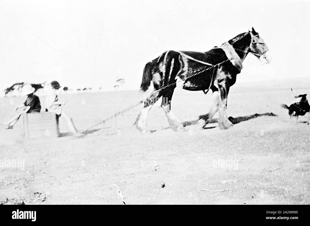 Trotting track hi-res stock photography and images - Alamy