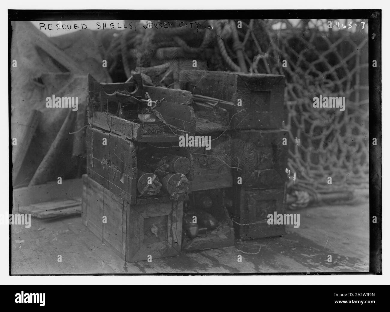 Natural history shells Black and White Stock Photos & Images - Alamy