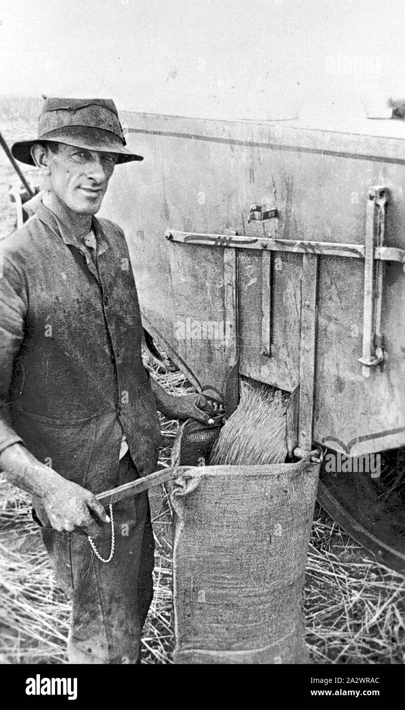 Man bagging grain hi-res stock photography and images - Alamy