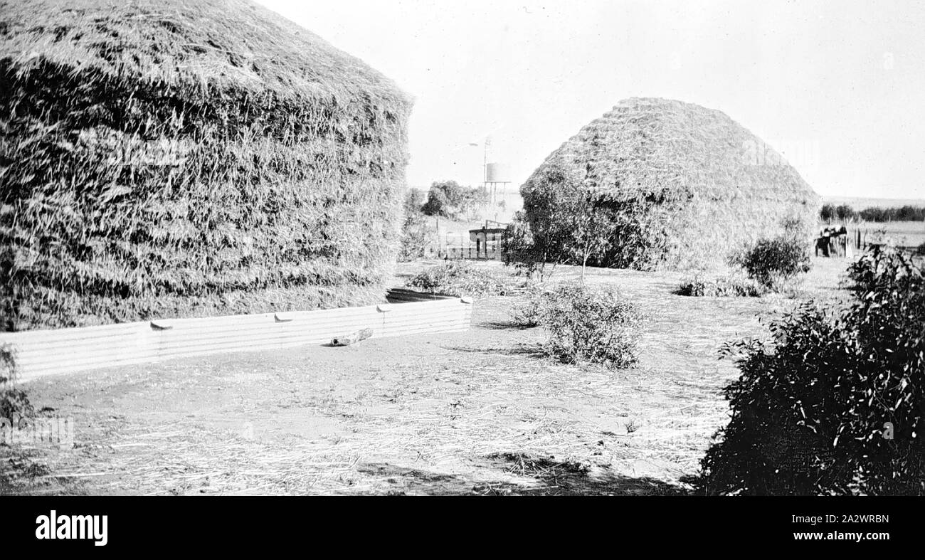 Negative - Manangatang, Victoria, circa 1930, Two haystacks with mouse ...