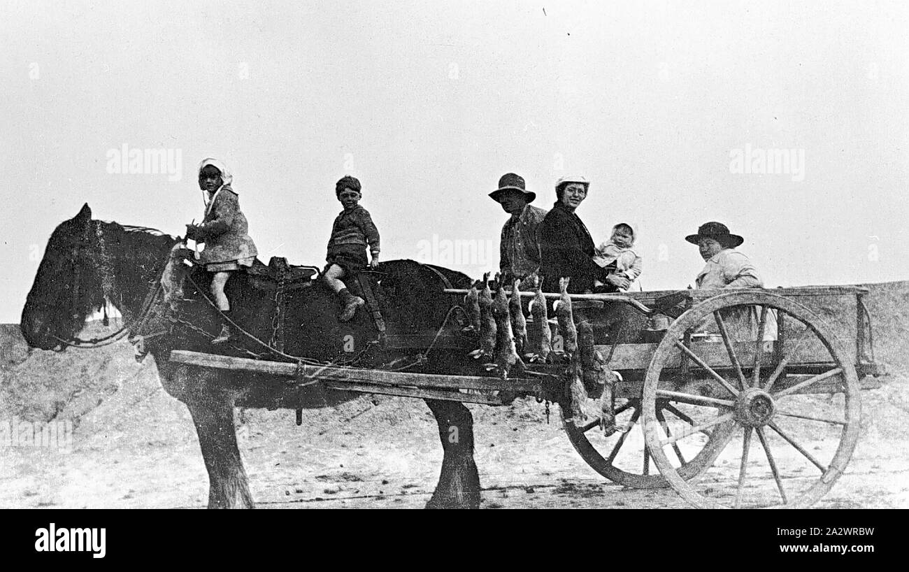 Negative - Piangil, Victoria, 1920, A family in a horse and cart. There ...