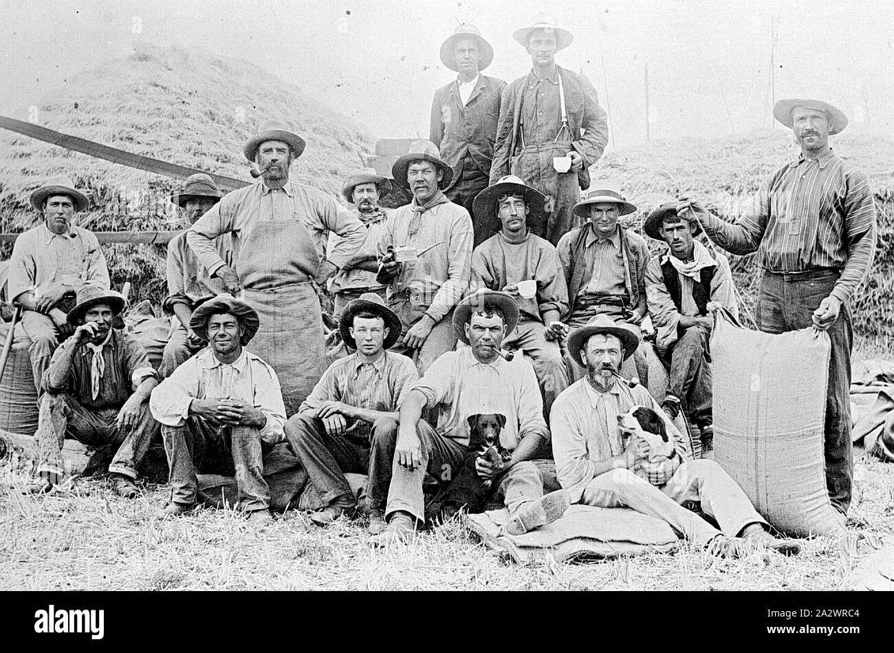 Negative - Piangil, Victoria, circa 1920, A group of farm workers. The ...