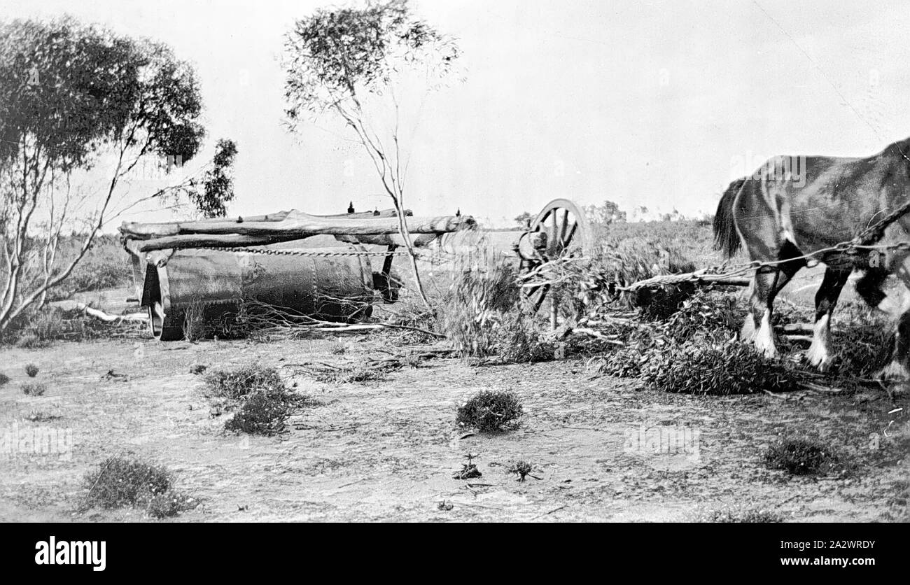 Negative - Manangatang, Victoria, circa 1935, A horse team rolling the ...