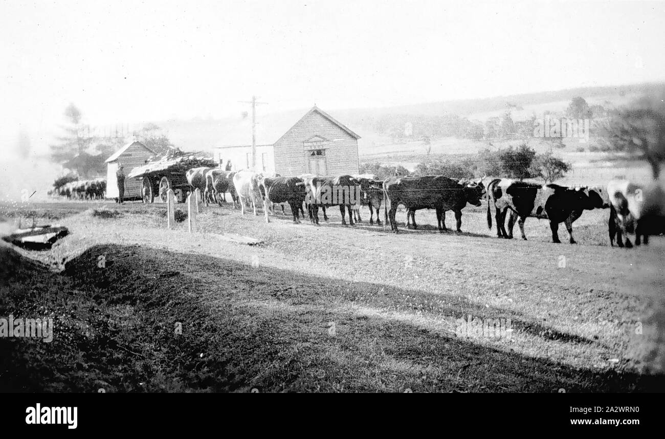 Digby wood hi-res stock photography and images - Alamy
