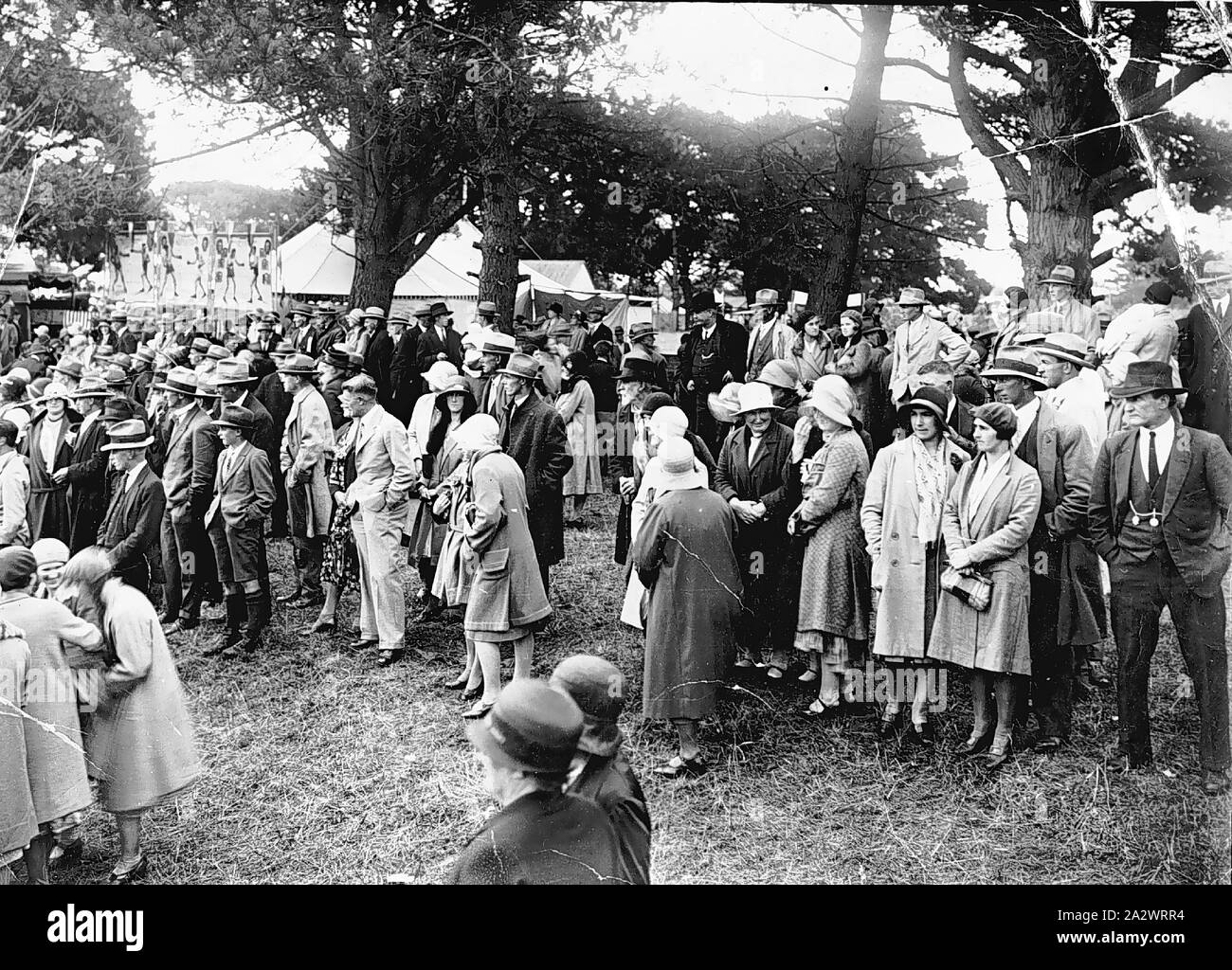 Portland agricultural show hi-res stock photography and images - Alamy