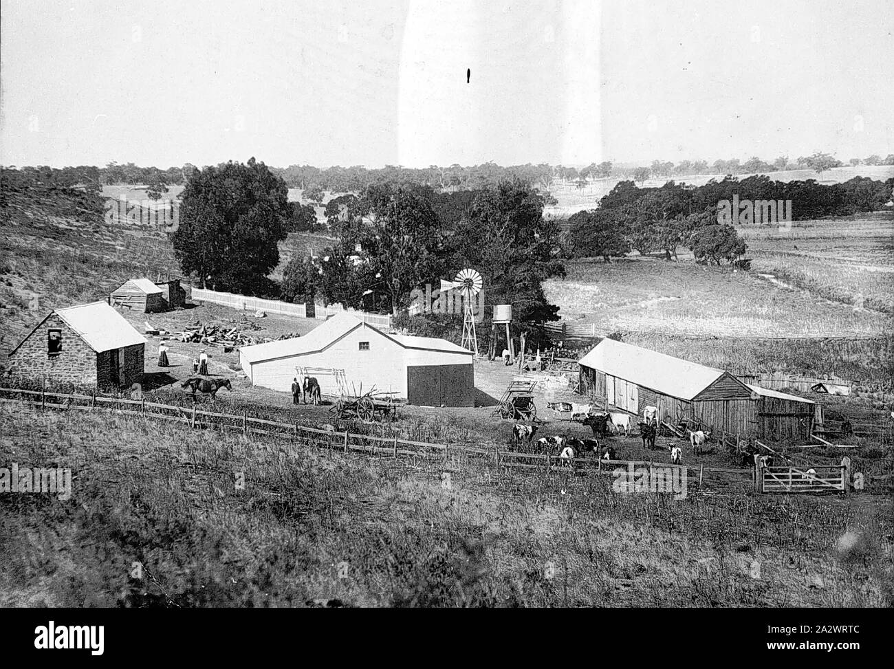 Negative - Joyce's Creek, Newstead, Victoria, 1910, The Lancaster ...