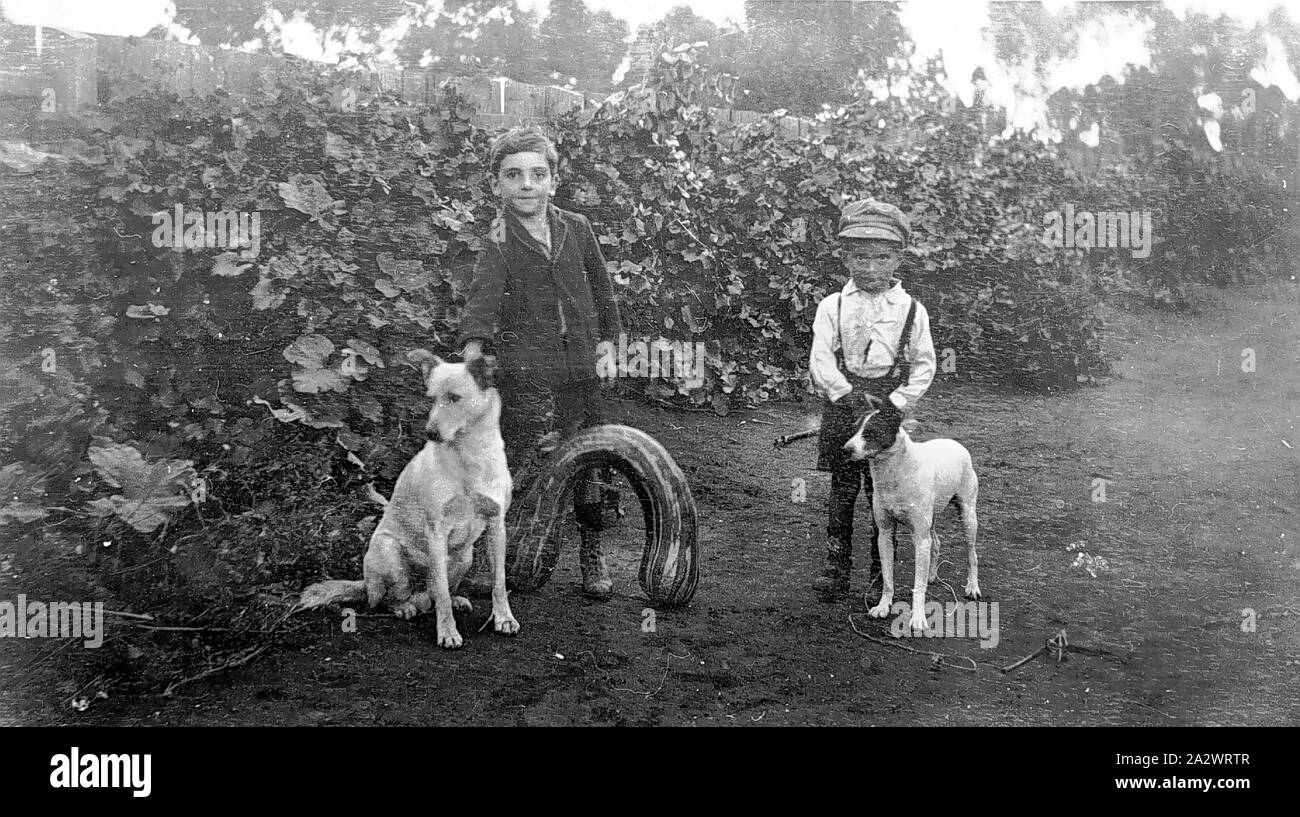 Negative - Swan Hill, Victoria, 1923, Boys with prize marrow and dogs ...