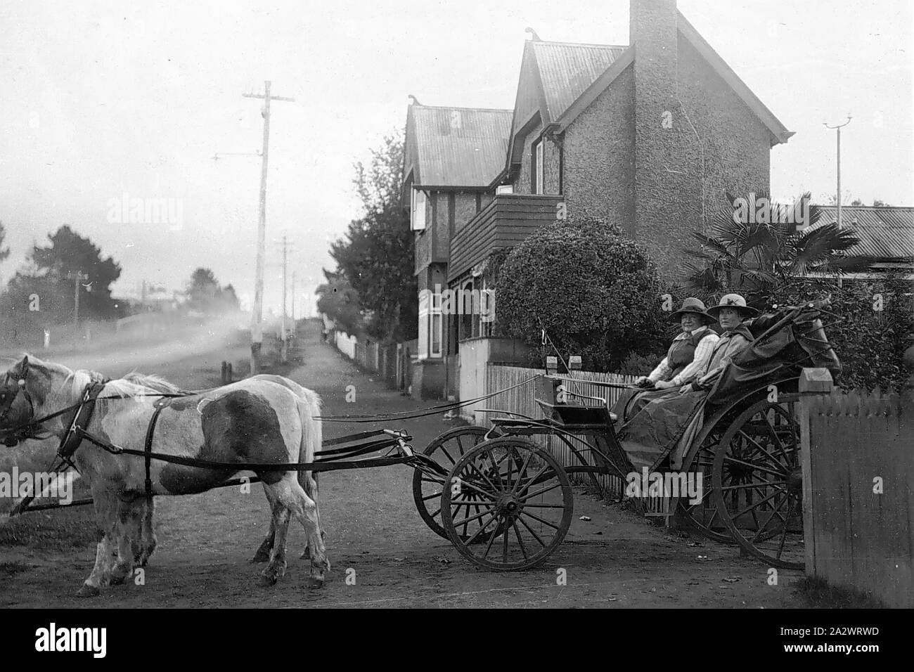 Negative - Casterton, Victoria, circa 1905, Two women in a carriage ...
