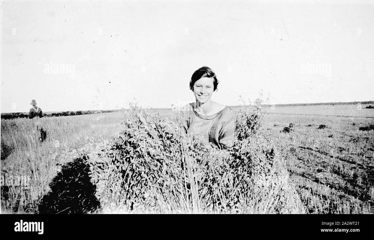 Negative - Woman in Oat Stook, Mittyack District, Victoria, circa 1928 ...