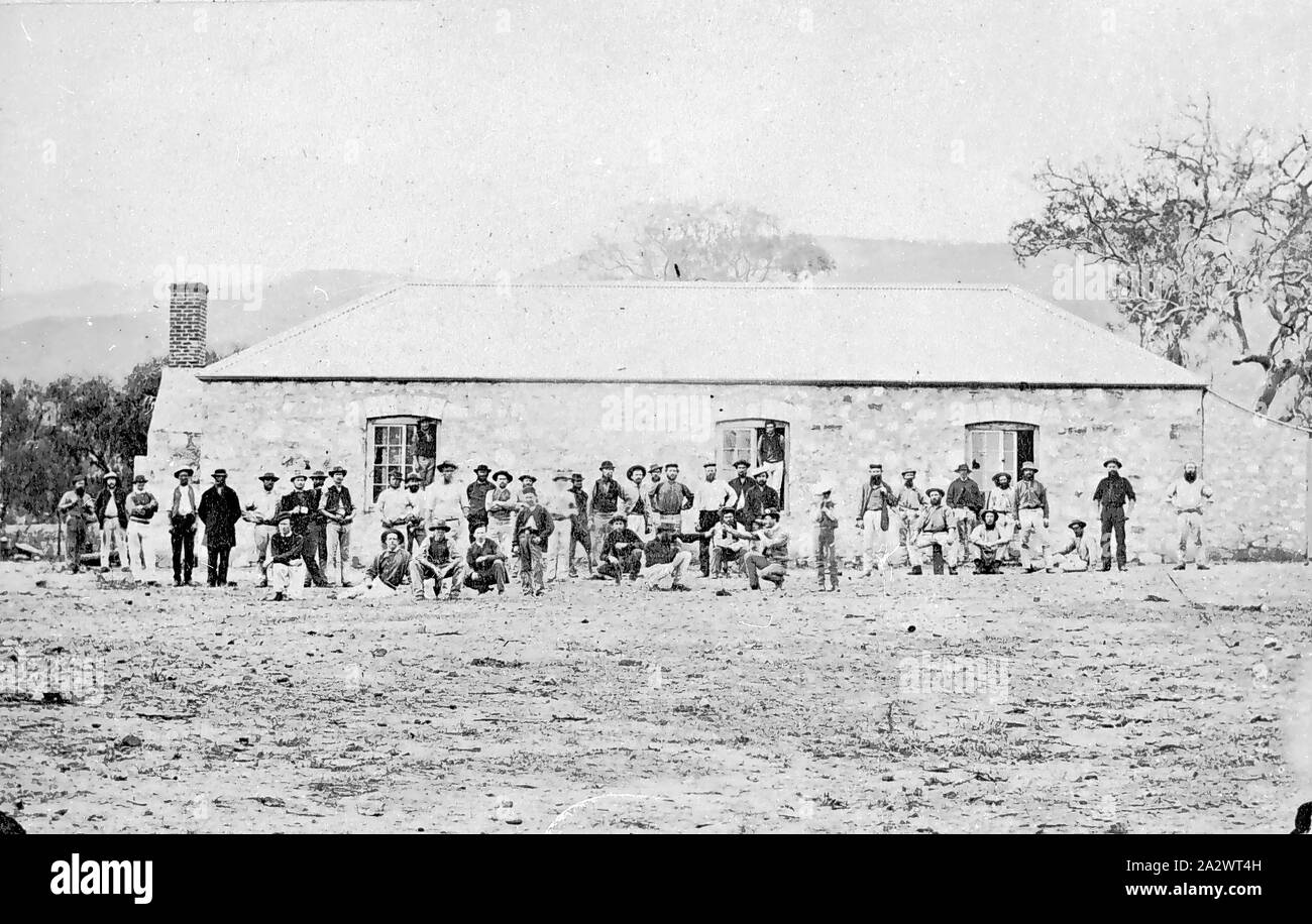 Negative - Blinman District, South Australia, circa 1865, Shearers and ...