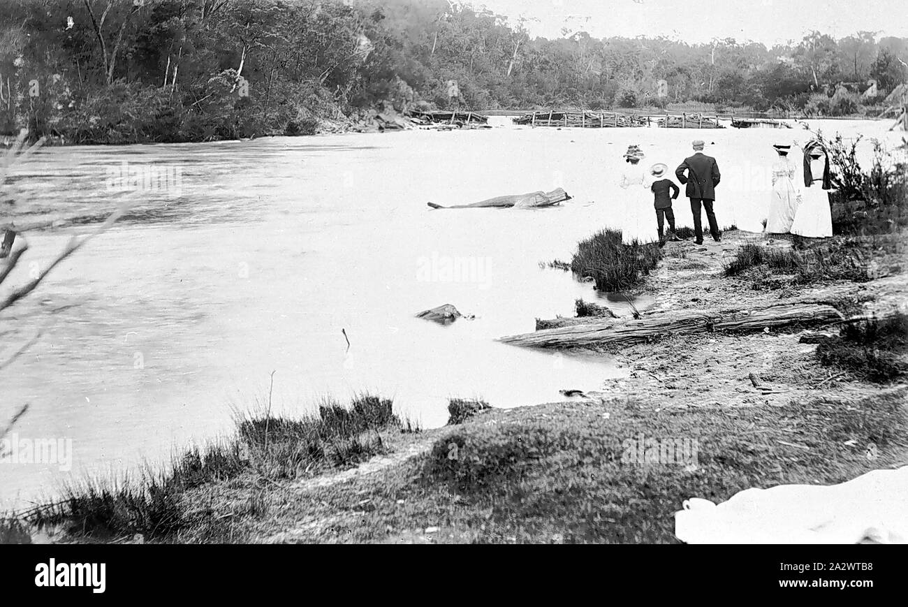 Negative - Warrandyte, Victoria, 1909, A group of people on the banks ...