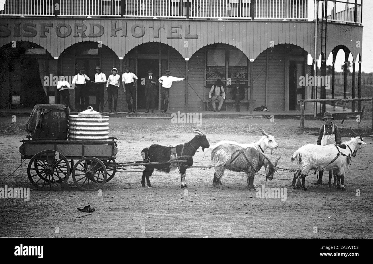 Goat cart hi-res stock photography and images - Alamy