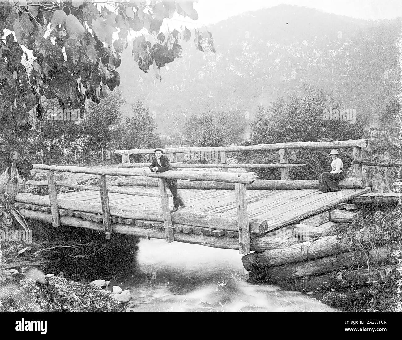 Log bridge hi-res stock photography and images - Alamy