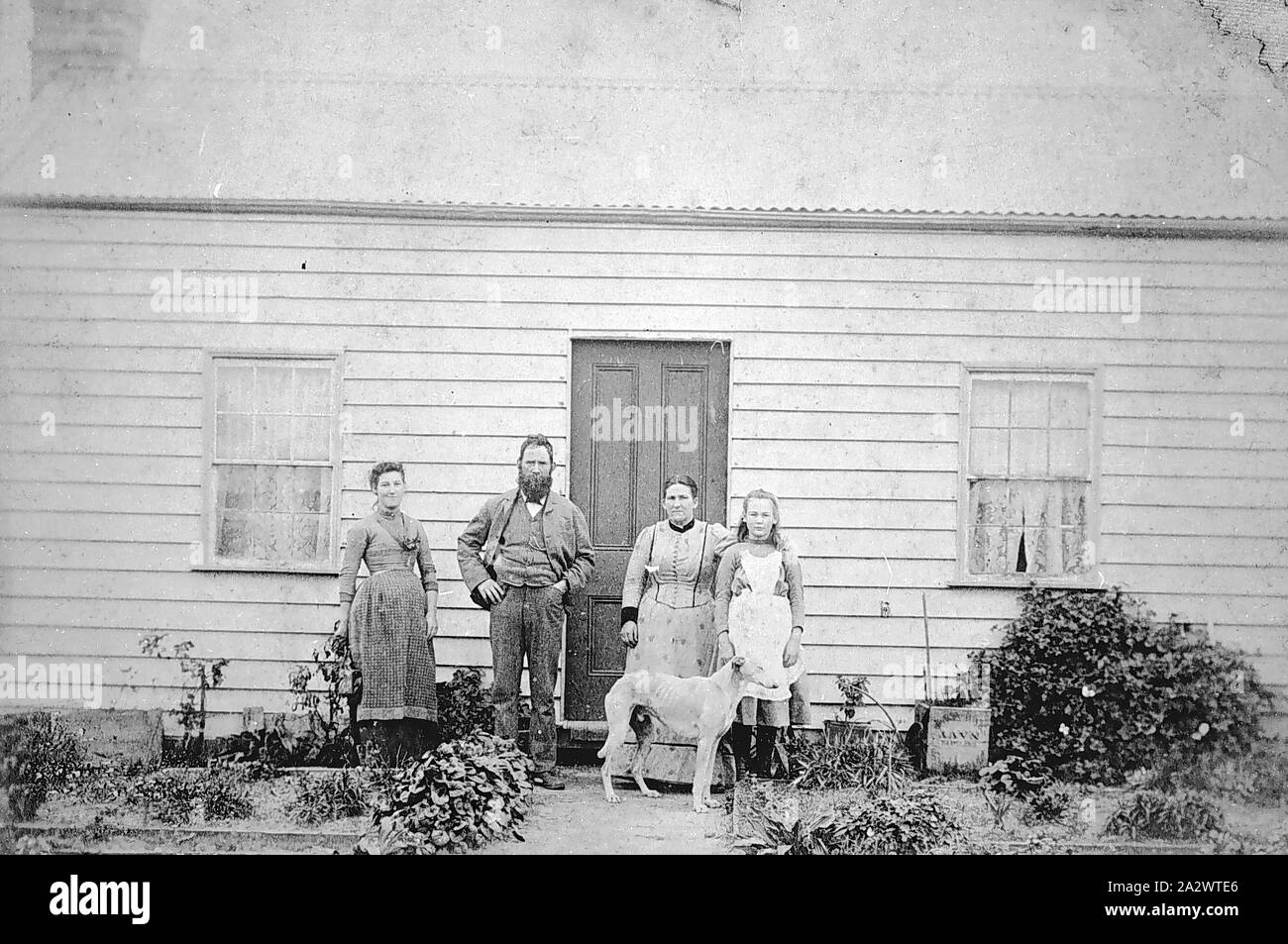 Lillico hi-res stock photography and images - Alamy