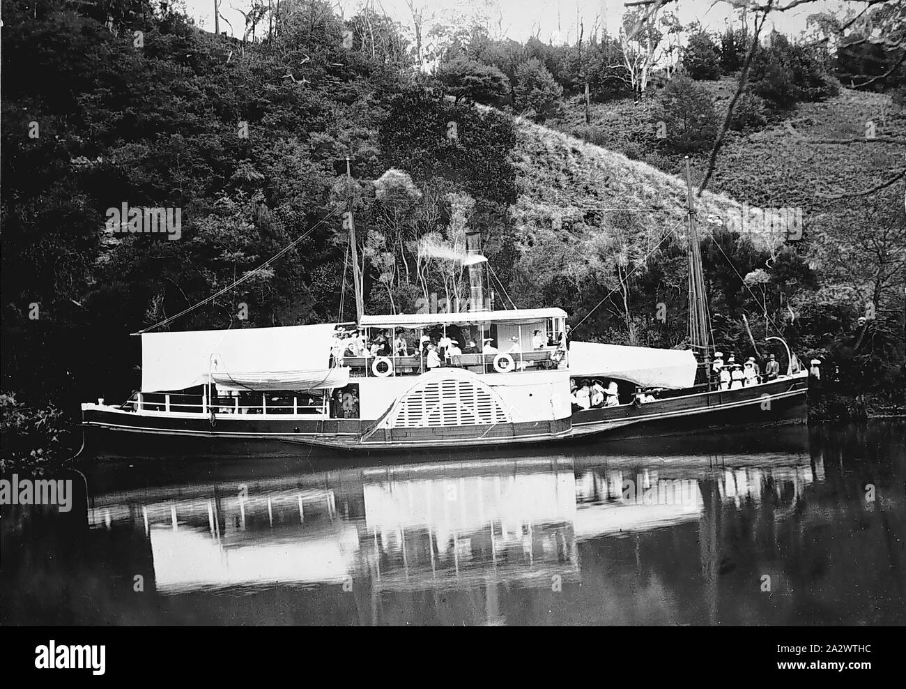 Negative - Tambo Upper, Victoria, 1904, The ferry 'Tanjil' on the Tambo ...