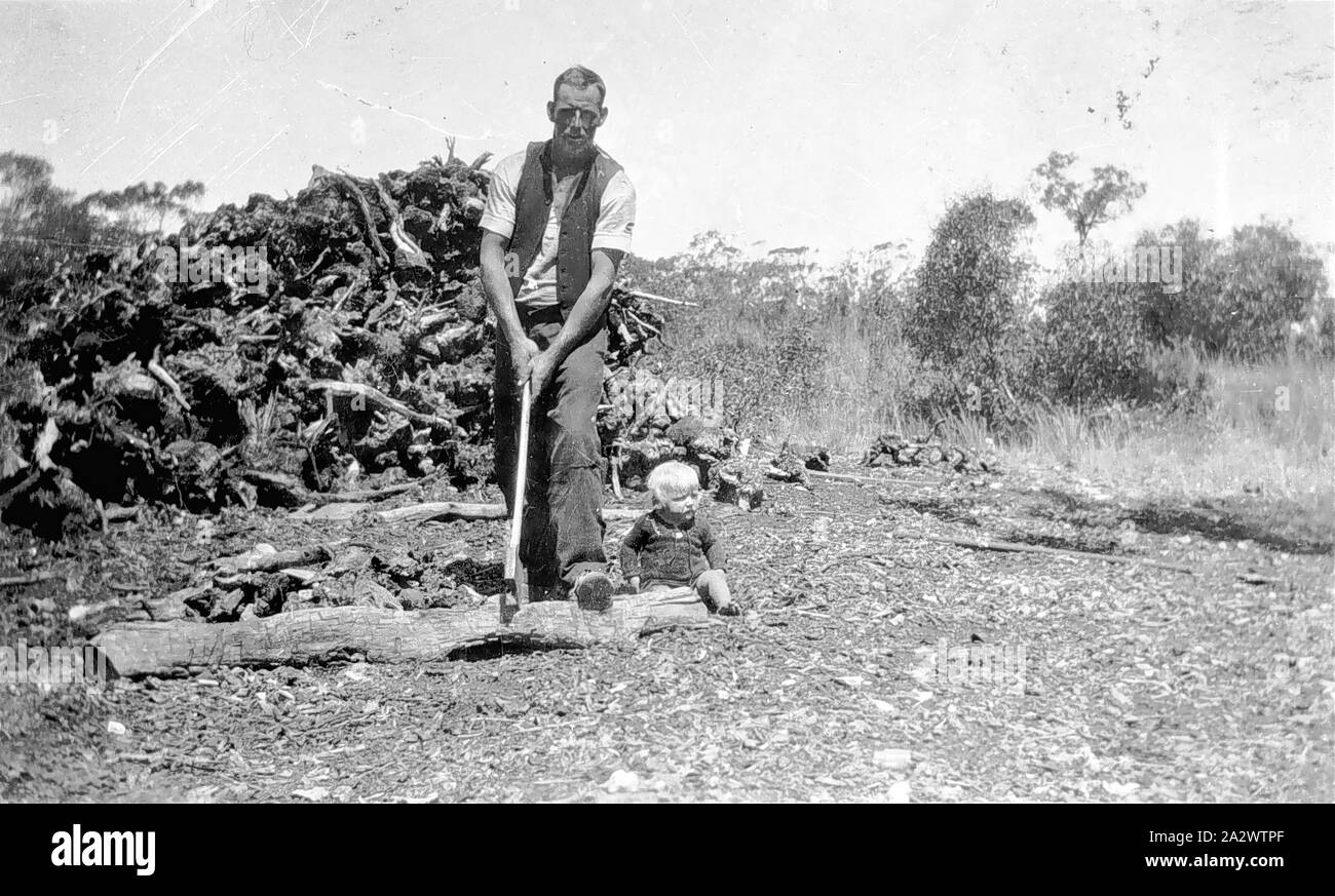 Mallee roots hi-res stock photography and images - Alamy
