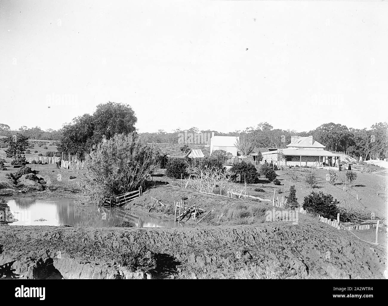 Negative - New South Wales, circa 1900, The homestead on 'Warrakoo ...