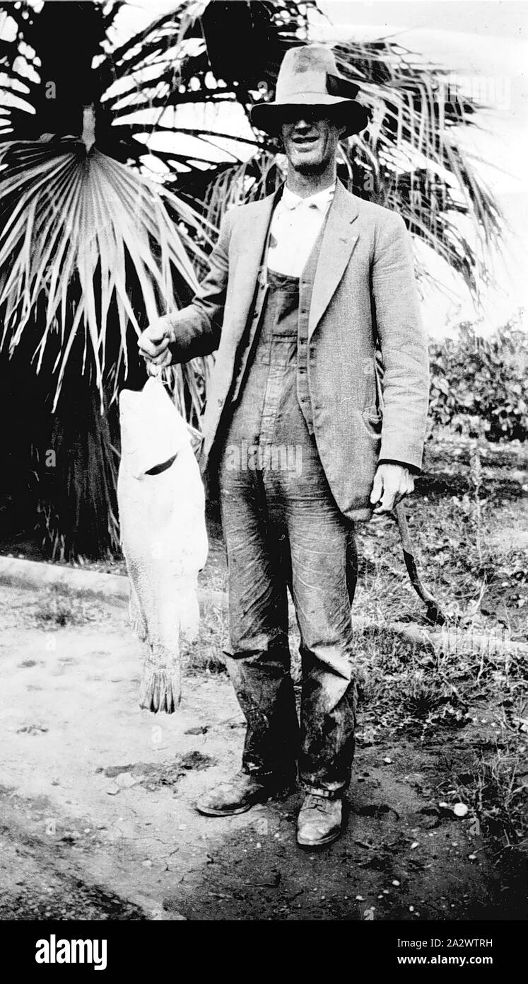 Negative - Merbein, Victoria, circa 1925, A man holding a Murray Cod in ...