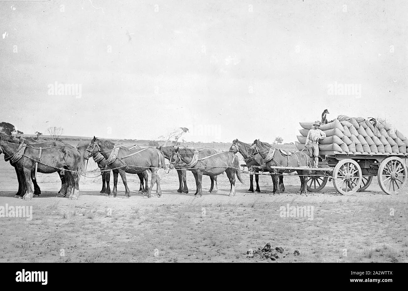 Penong district hi-res stock photography and images - Alamy