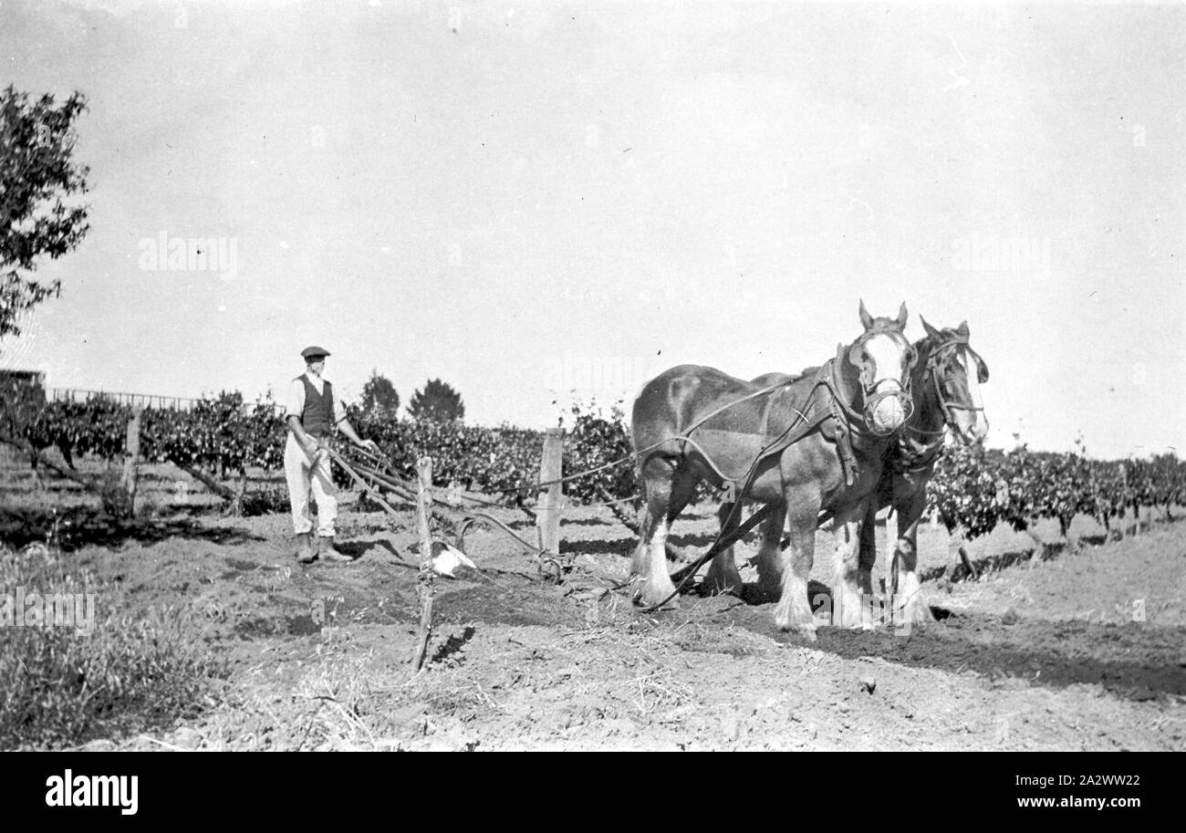 Merbein hi-res stock photography and images - Alamy