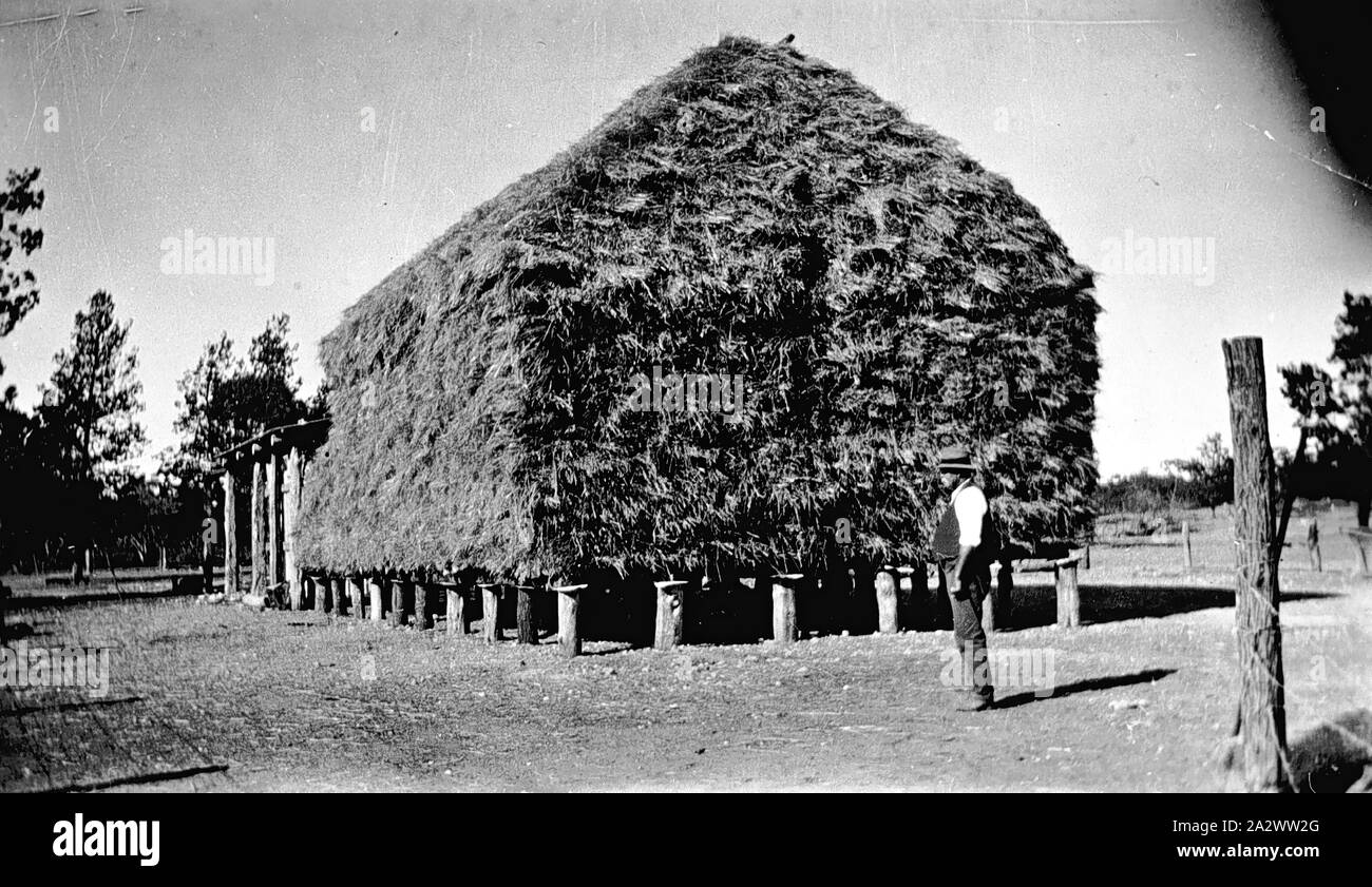 Negative - Hay Stack on Platform, Cowangie District, Victoria, circa ...