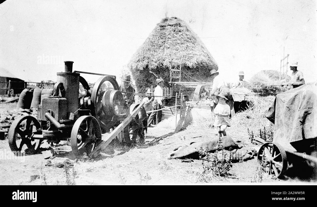Negative - Mildura District, Victoria, circa 1935, Using a Ronaldson ...