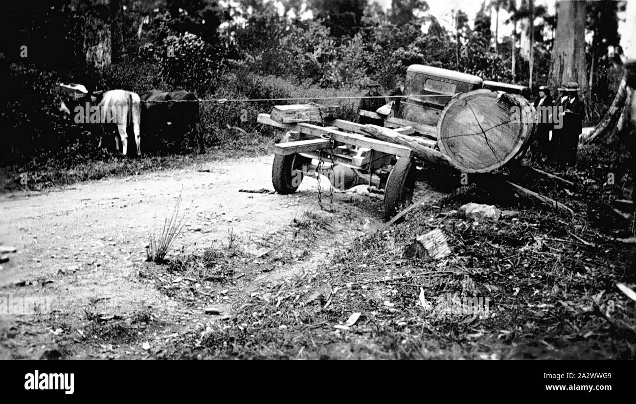 Jinker hi-res stock photography and images - Alamy