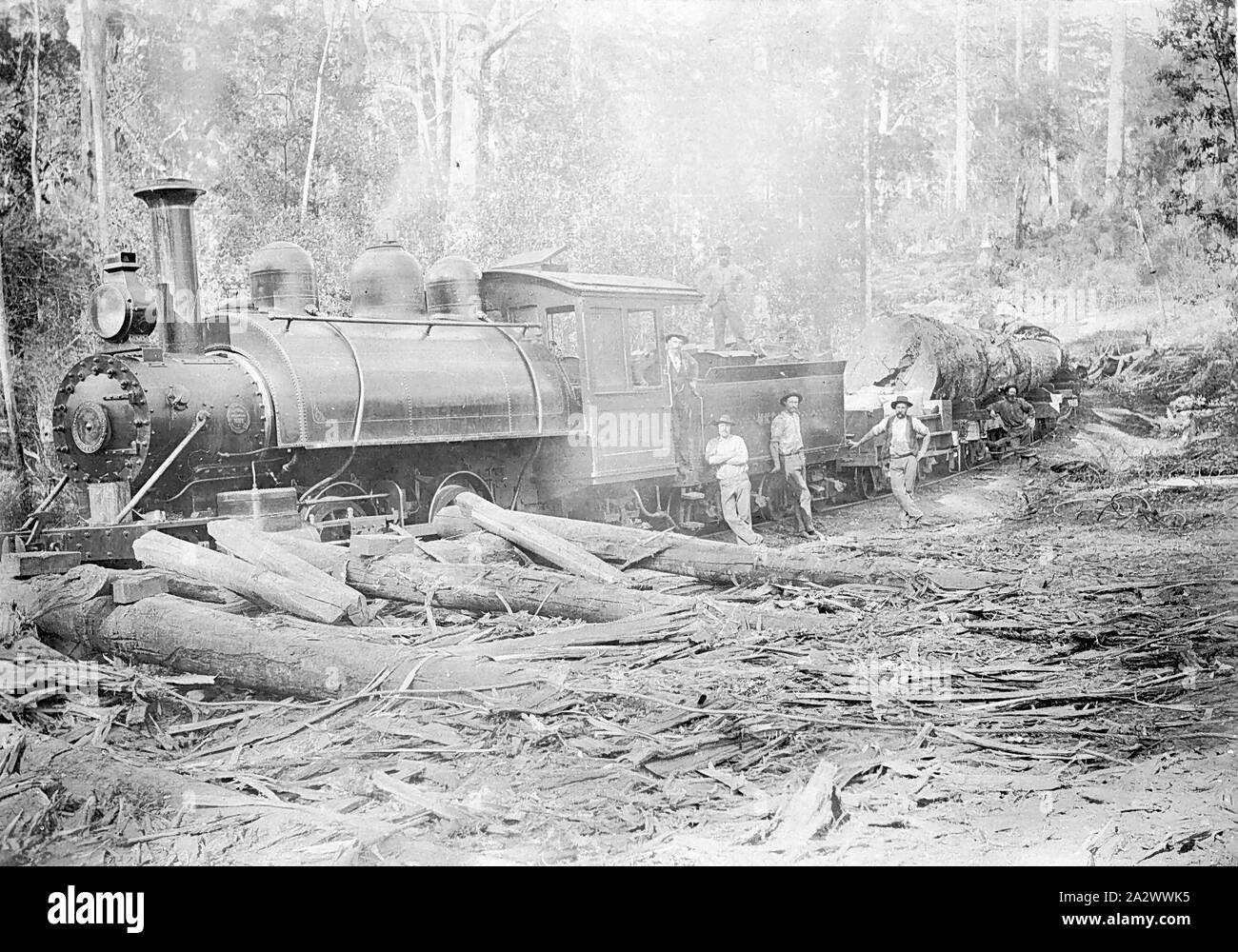 Negative - Albany District, Western Australia, circa 1900, A timber ...