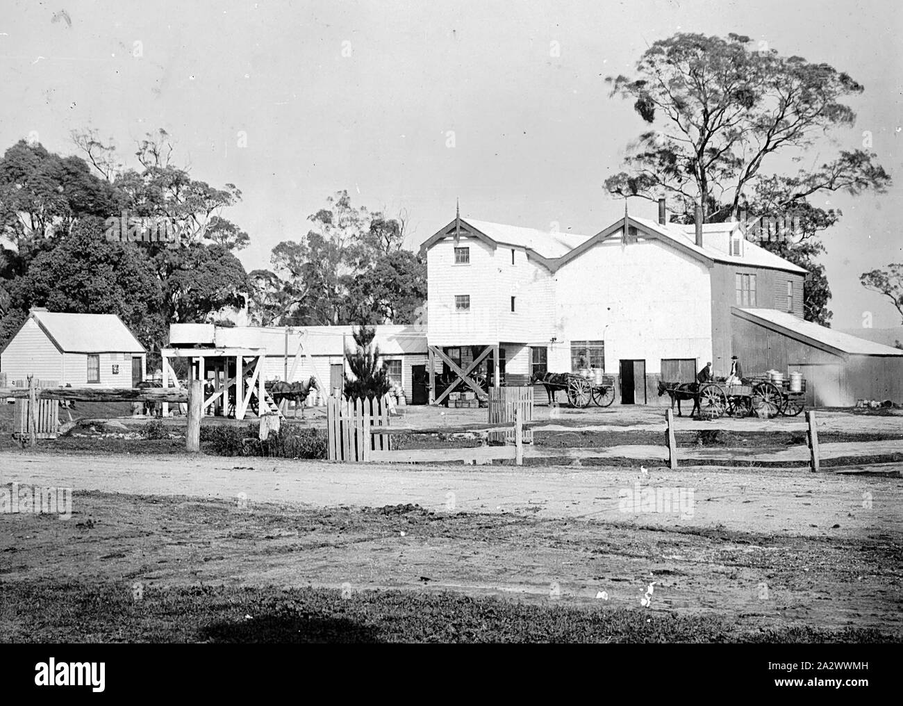 Negative - Heyfield, Victoria, circa 1900, The Heyfield Butter Factory ...