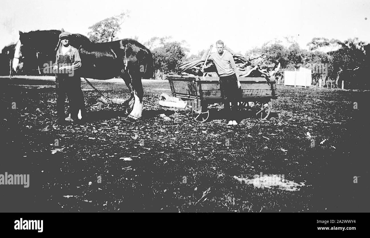 Negative - Boyeo, Victoria, circa 1930, Men collecting wood in a horse ...