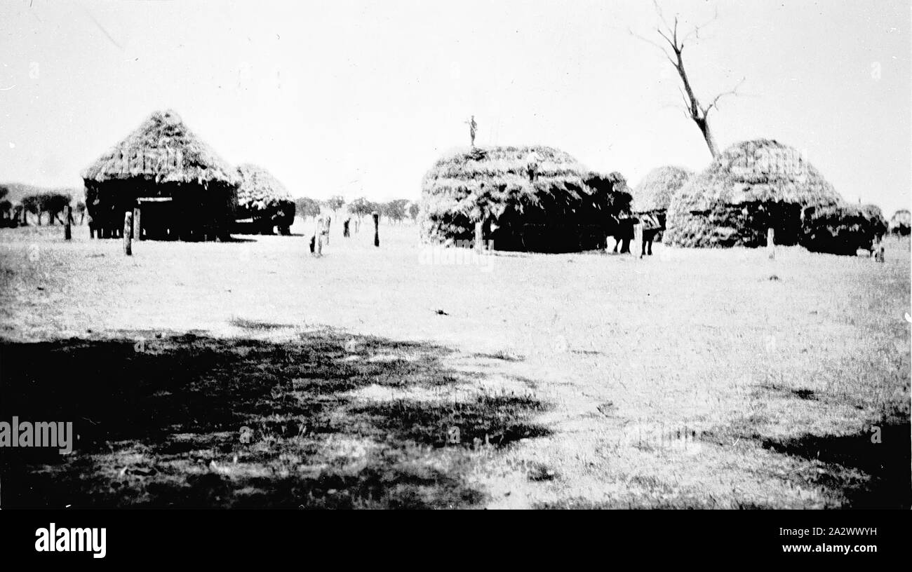 Negative - Boweya, Victoria, circa 1925, Haystacks on 'Lowlands' farm ...