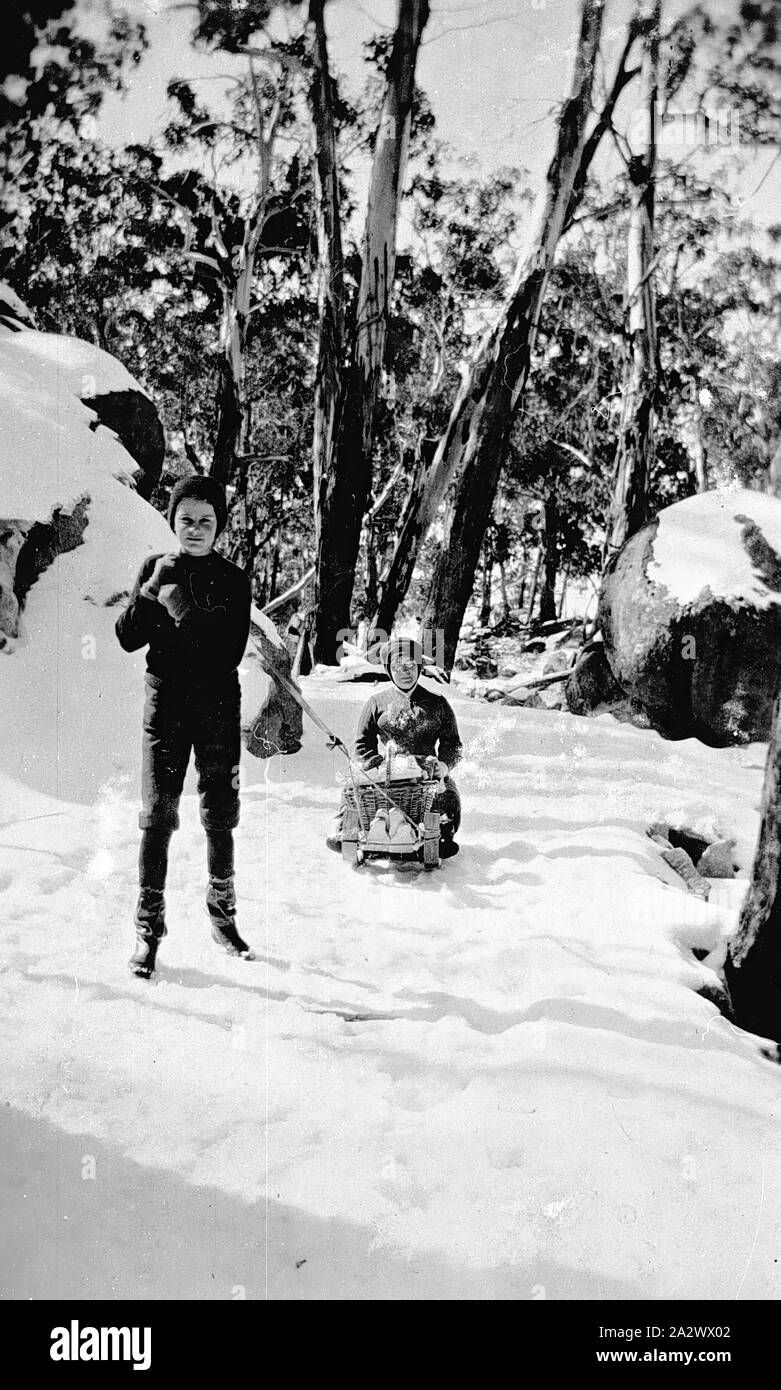 Negative - Mount Buffalo, Victoria, circa 1910, A boy pulling a woman ...