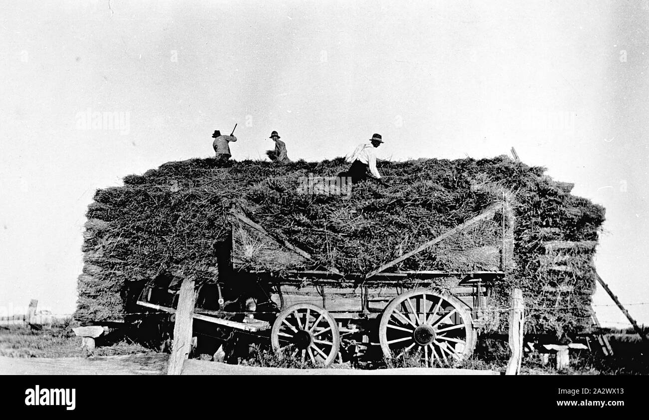 Negative - Bundalong District, Victoria, post 1930, Three men building ...