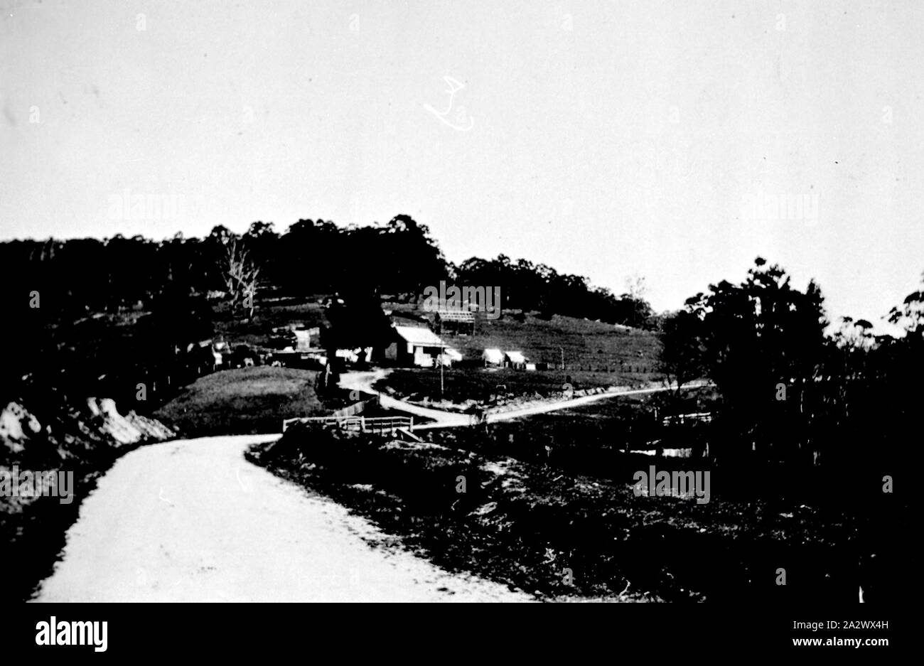 Negative - Genoa, Victoria, circa 1925, A road and houses at Genoa ...