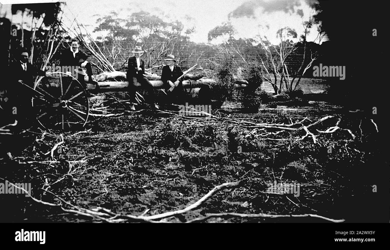 Mallee roller hi-res stock photography and images - Alamy