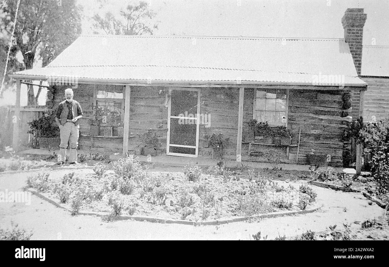 Negative - Marungi, Victoria, circa 1910, John Nightingale standing in ...