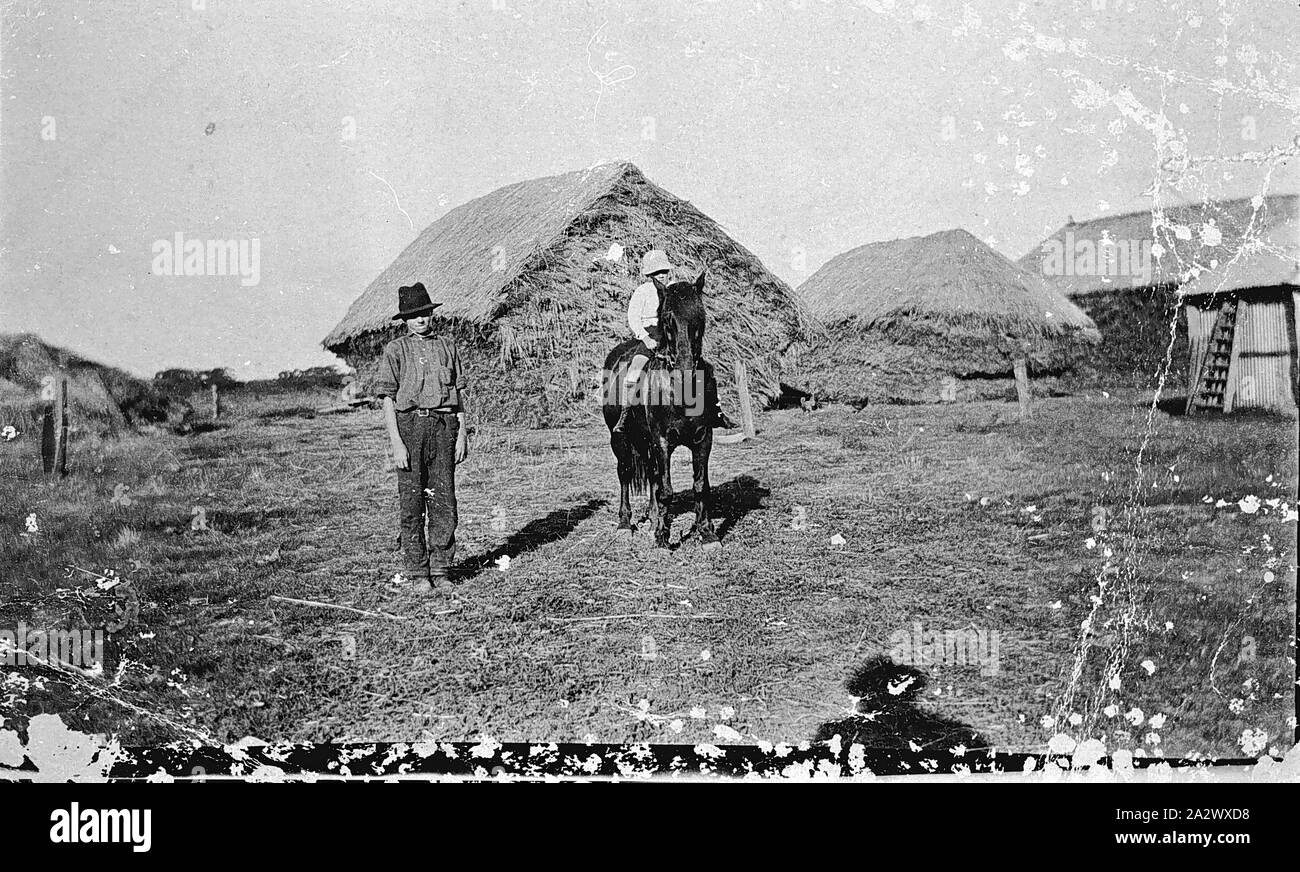 Ardmona hi-res stock photography and images - Alamy