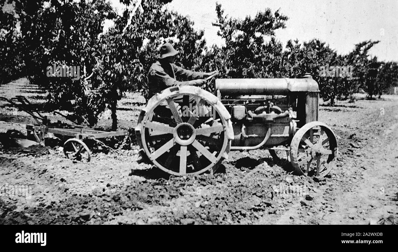 Negative - Merrigum, Victoria, circa 1925, Using a tractor to cultivate ...