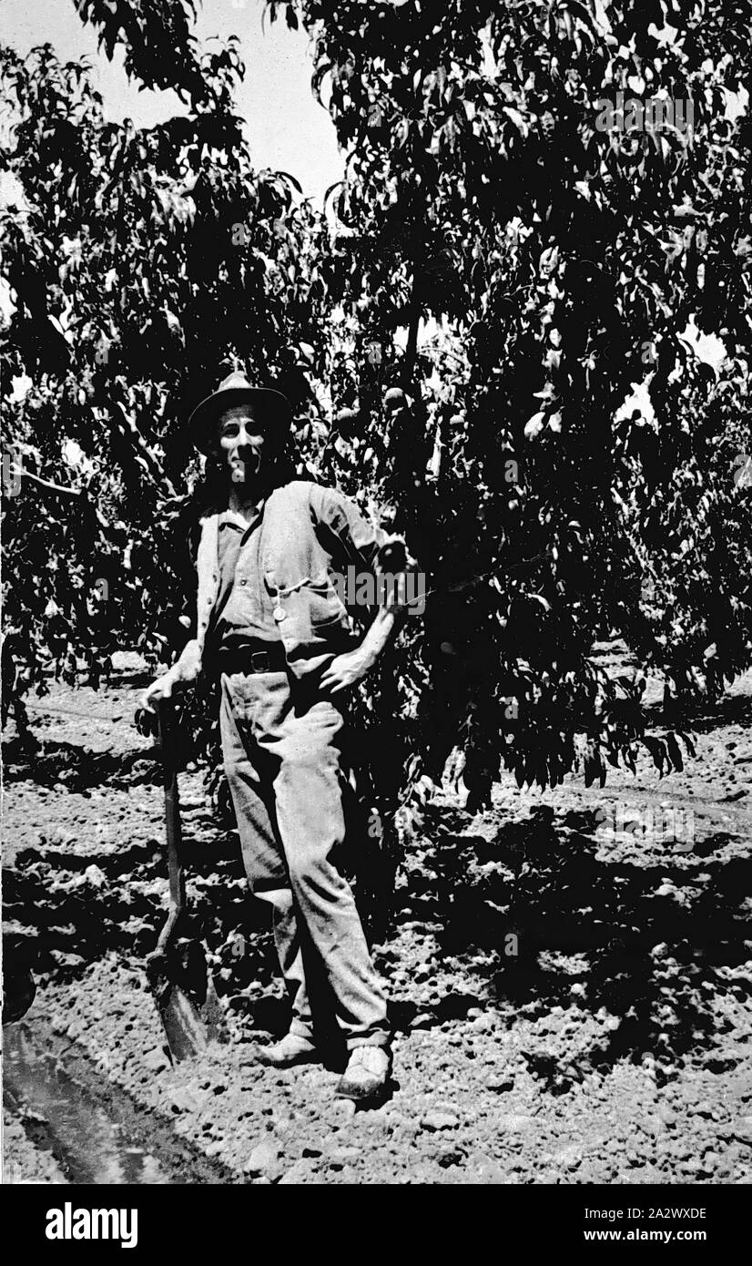 Merrigum High Resolution Stock Photography and Images - Alamy