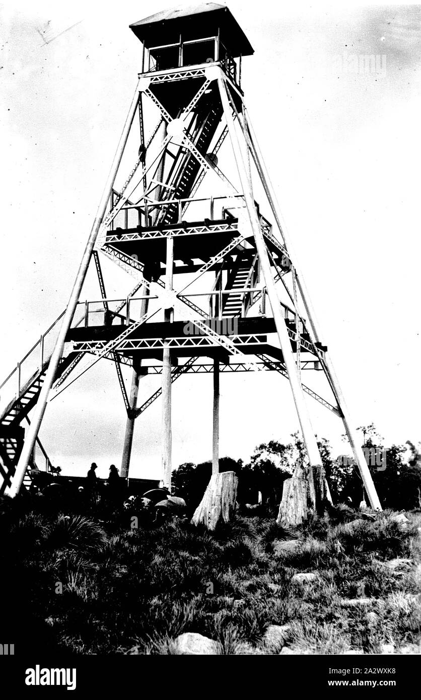 Negative - Mount Donna Buang, Victoria, circa 1930, The lookout on ...