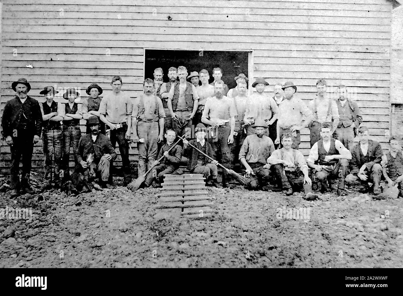 Negative - Australia, circa 1900, Shearers outside a shearing shed. Two ...