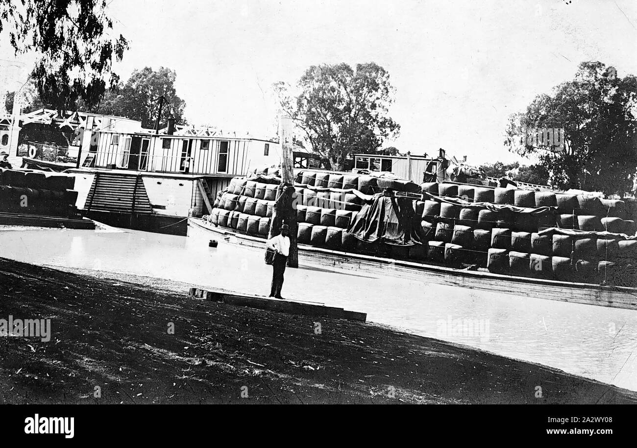 Negative - Paddlesteamer Towing Large Wool Barge, Murray River, New ...