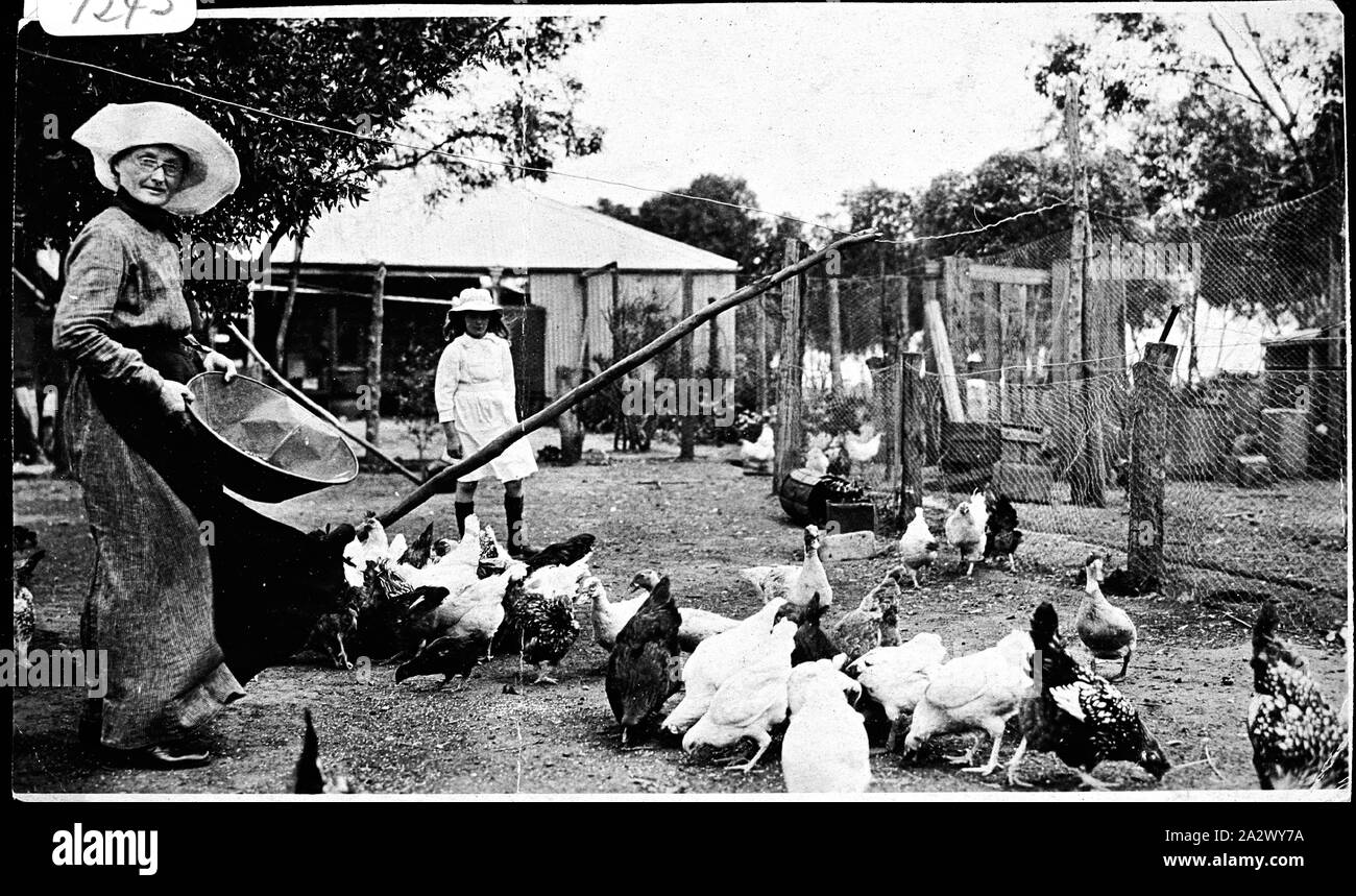 Negative - Nullawil District, Victoria, 1924, A woman feeding chickens ...