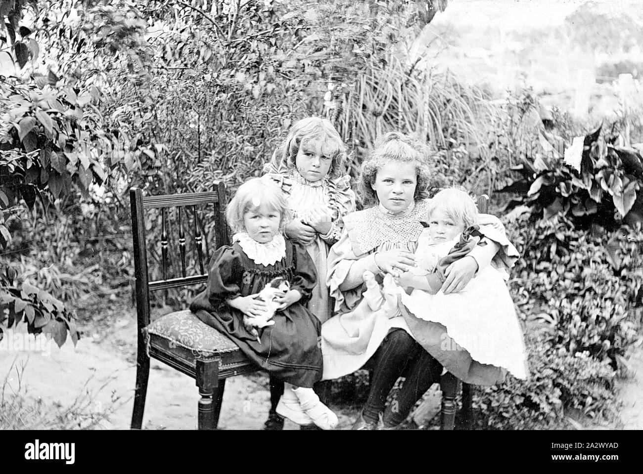 Negative - Schier Family Children with Guinea Pig, Traralgon, Victoria ...