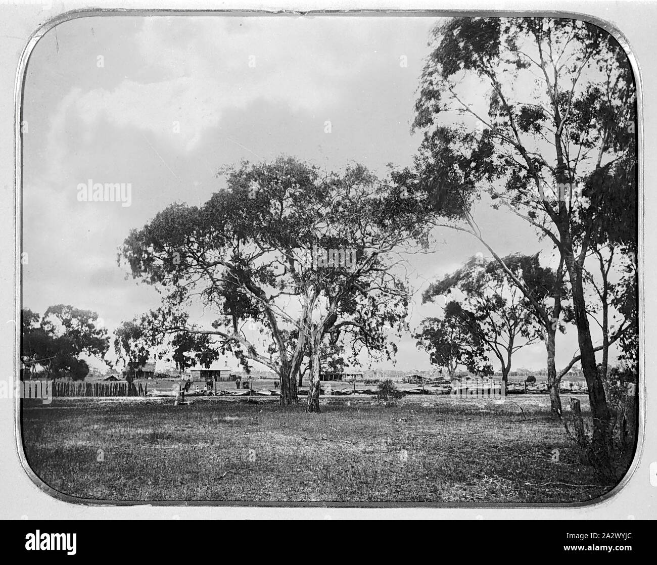 Through the gum hi-res stock photography and images - Alamy