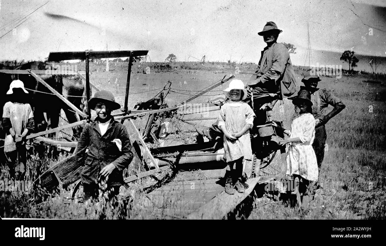 Negative - Family Group, Myrtle Creek, New South Wales, 1925, Family ...