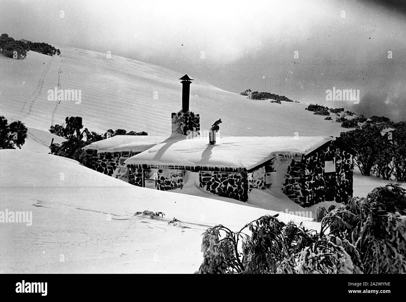 Negative - Mount Bogong, Victoria, 1950, The Cleve Cole Hut on Mt ...
