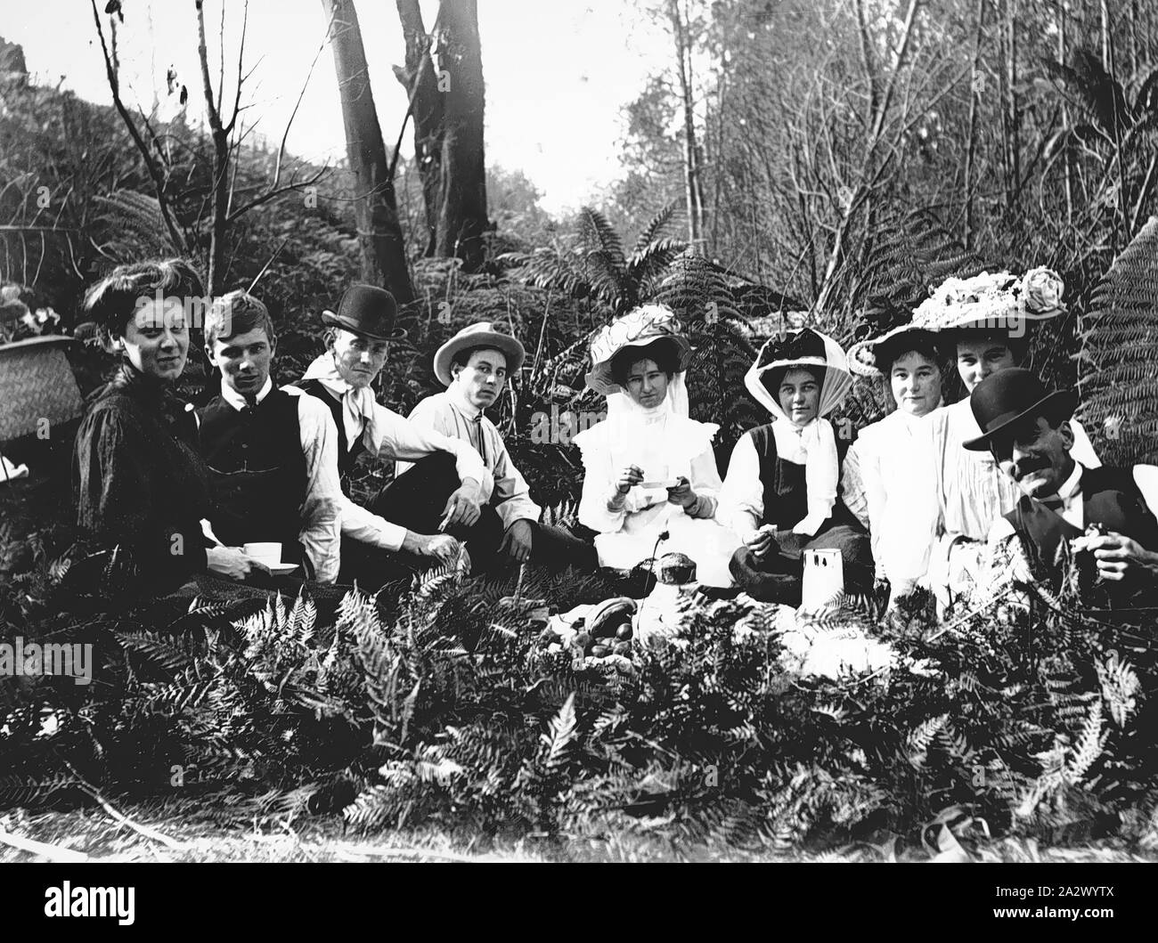 Negative - Ferntree Gully, Victoria, 1908, A group of men and woman at ...