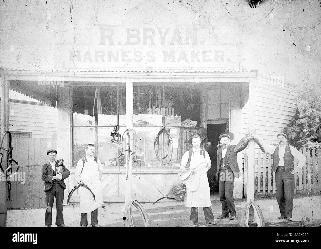 Negative - Staff in Front of Shop of R. Bryan, Harness Maker, Outrim ...