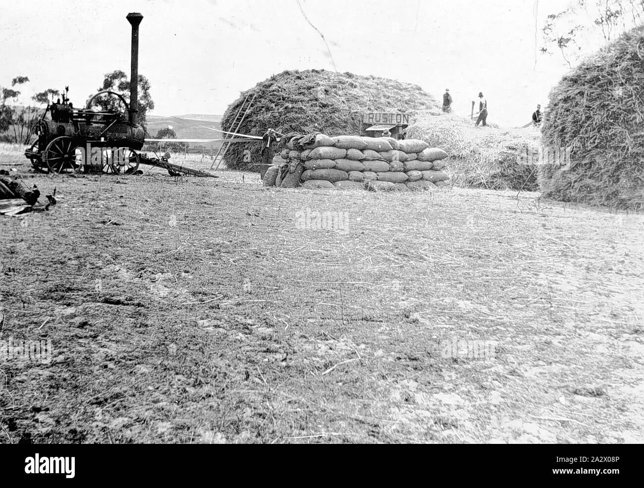Negative - Sandford, Victoria, circa 1925, A 'Ruston' threshing machine ...